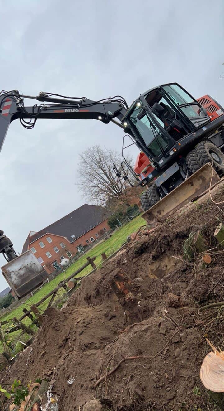 Baumpflege – Dirk Mosch e.K. Garten- und Landschaftsbau